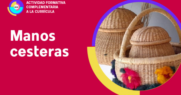 Comienza taller sobre diseño, técnica y materiales de cestería huarpe ...