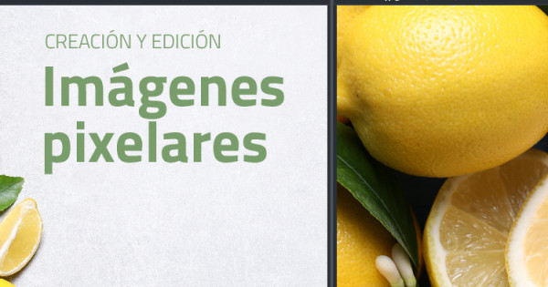 Capacitarán en creación y edición de imágenes pixelares - Facultad de ...