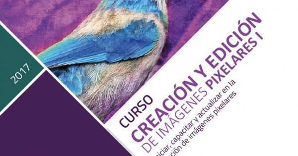 Enseñarán a crear y editar imágenes pixelares - Facultad de Artes y Diseño